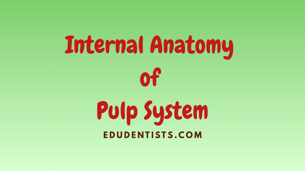 Internal Anatomy of the Pulp System: Clinical Relevance and ...